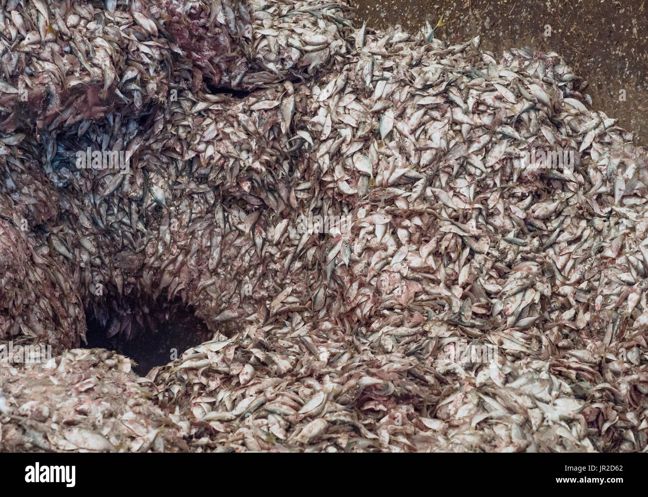 Reject bin hi-res stock photography and images - Alamy