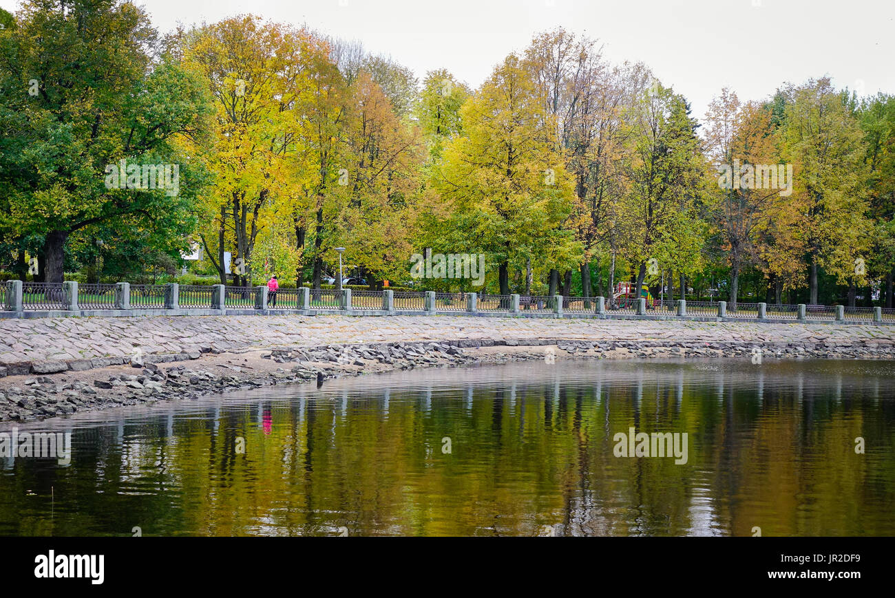 Vyborg lake forest hi-res stock photography and images - Alamy