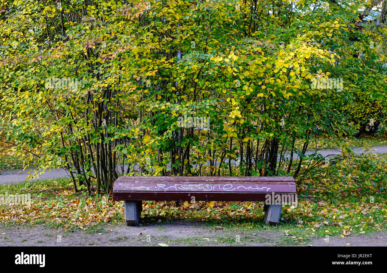 A public bench at the autumn park in Vyborg, Russia Stock Photo - Alamy