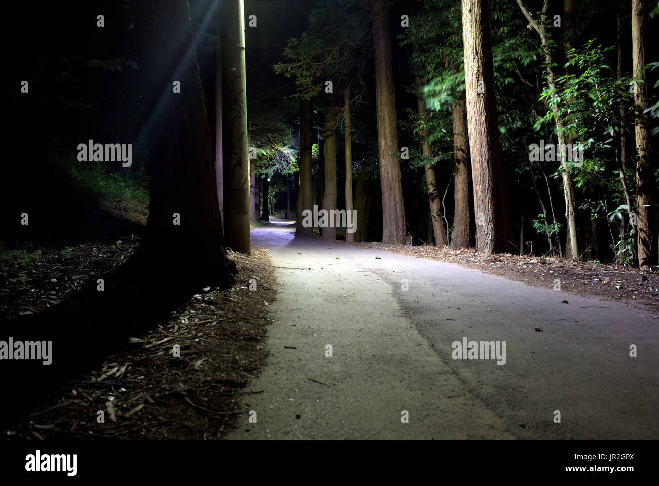 Dark Lonely Road Wallpaper