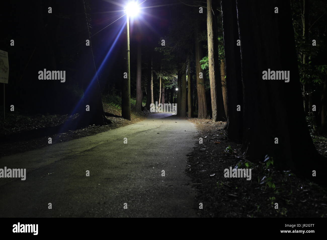 Night Forest Road Stock Photos & Night Forest Road Stock Images - Alamy