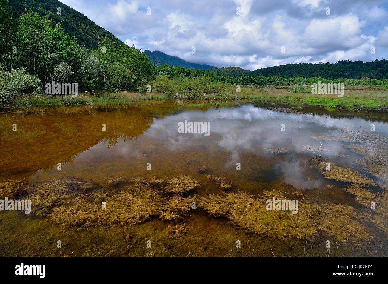 Rare Pyrenean rounded peat bog: Peat bog of Pedestarres. Nowadays ...