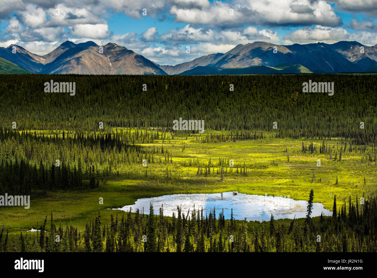 Tundra landscape alaska hi-res stock photography and images - Alamy