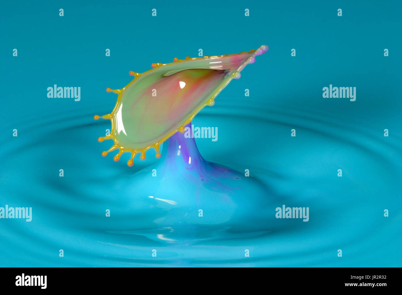 Drop of colored milk falling into blue tinted milk Stock Photo - Alamy