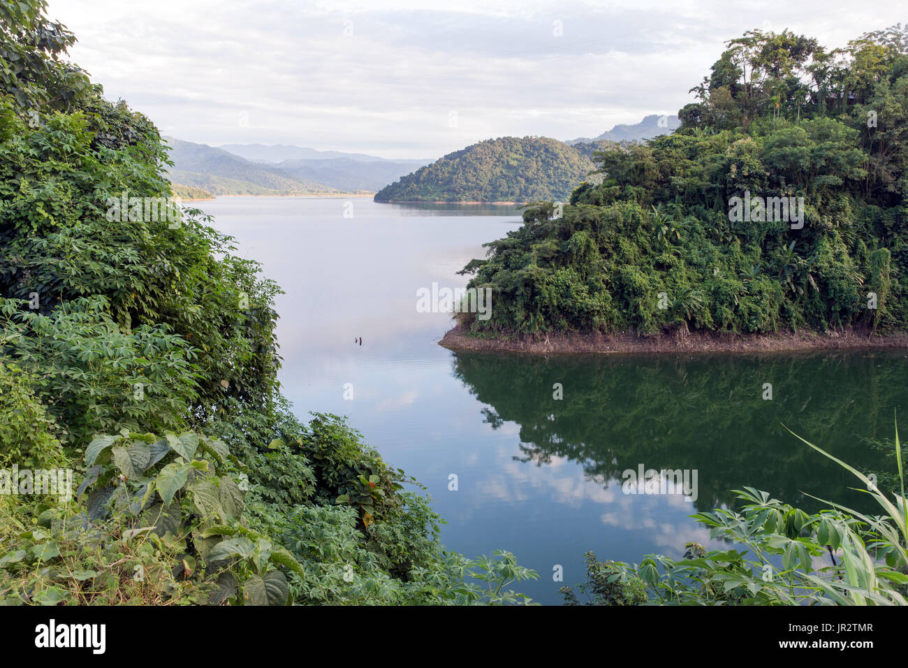 Doyang Hydroelectric Dam, where up to one million birds : Amur falcon ...