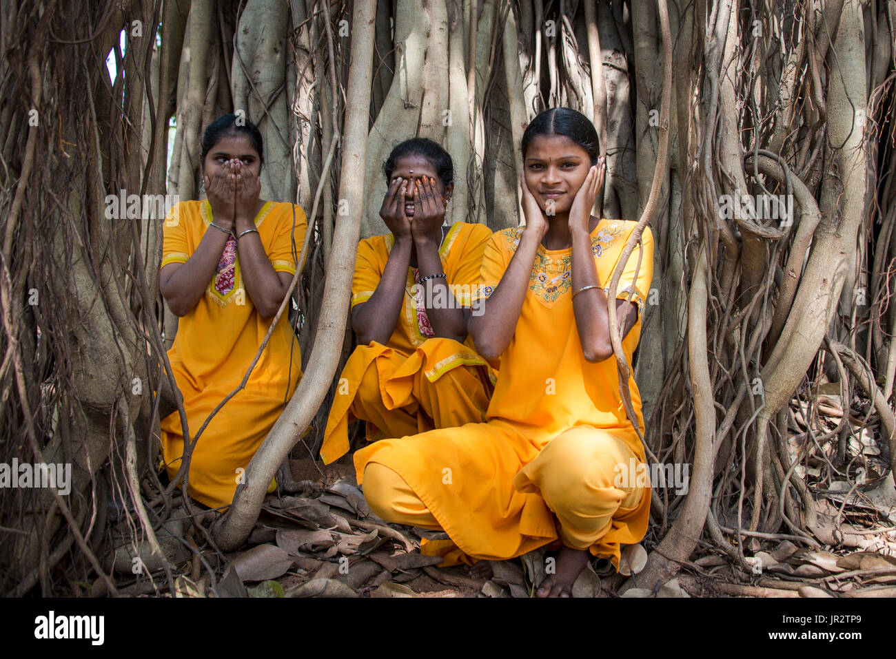 Portraits of three characters representing the monkeys of wisdom Stock ...