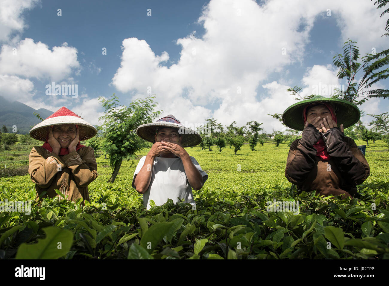Portraits of three characters representing the monkeys of wisdom Stock ...