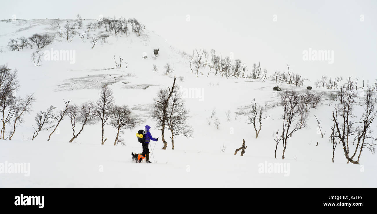 Norwegian skier hi-res stock photography and images - Alamy