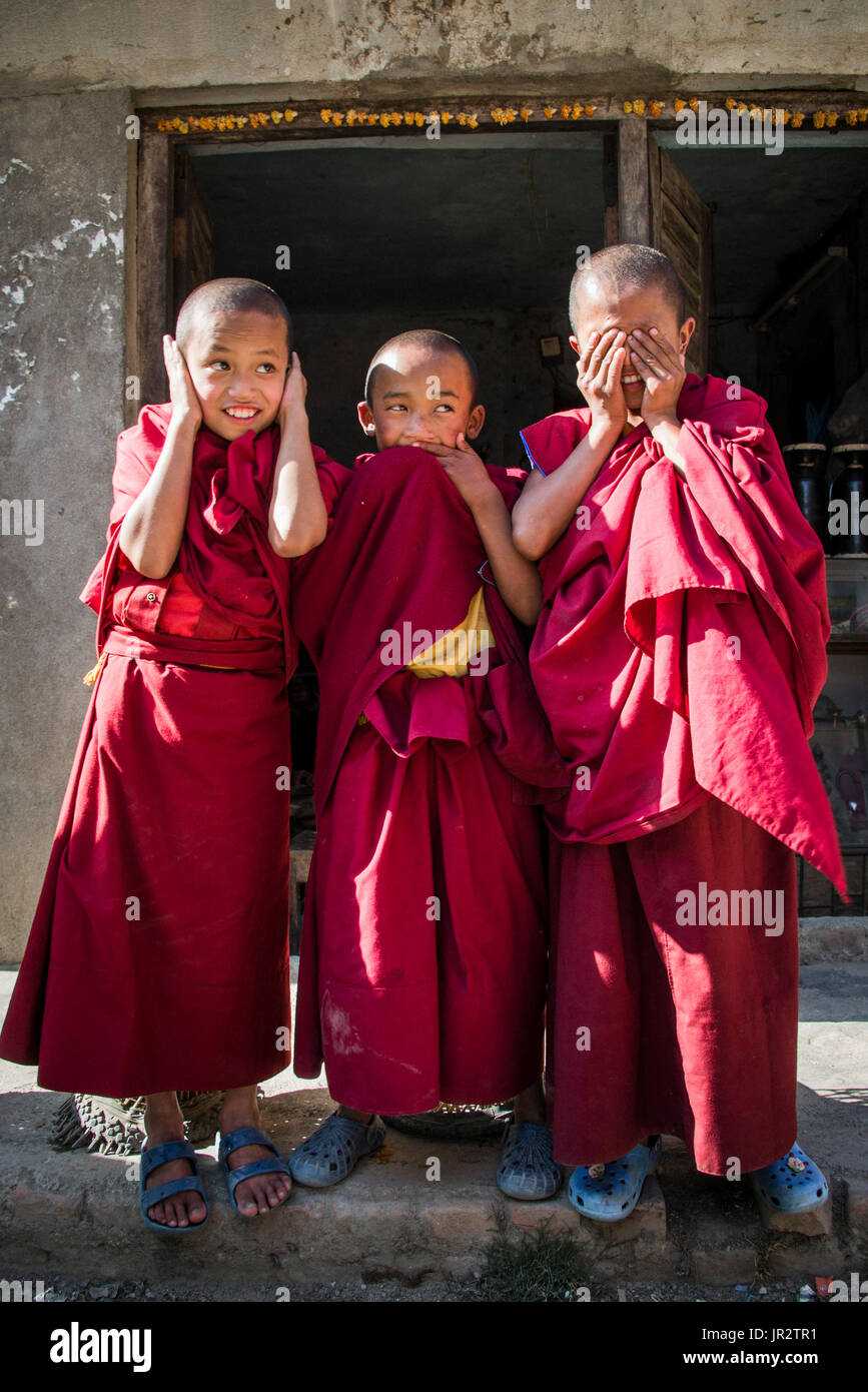 Portraits of three characters representing the monkeys of wisdom Stock ...