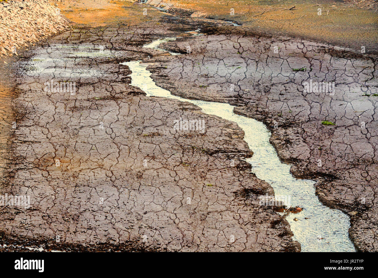 Dried river bed in the desert Stock Photo - Alamy