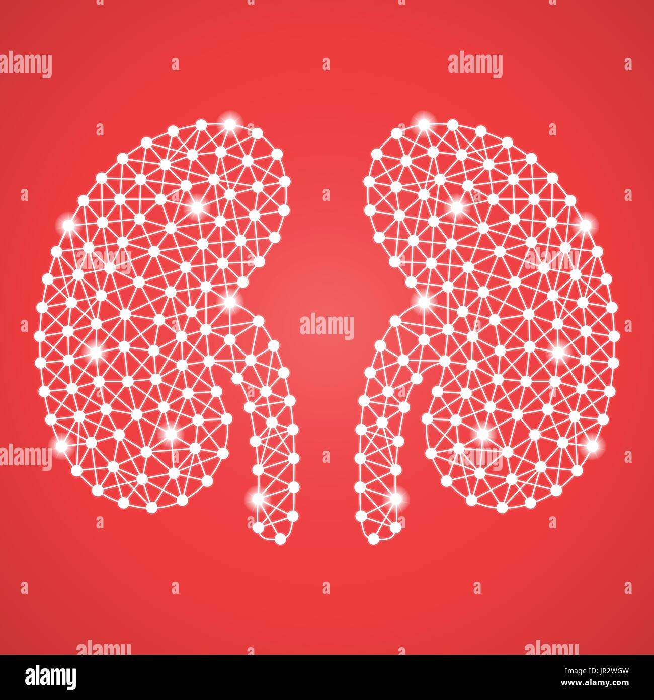 Human kidney medical diagram hi-res stock photography and images - Alamy