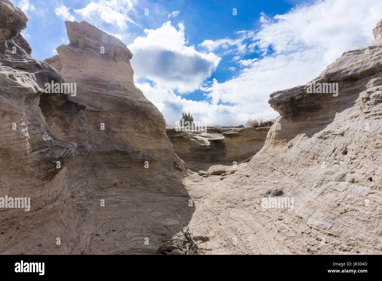 Sandstone gully forest hi-res stock photography and images - Alamy