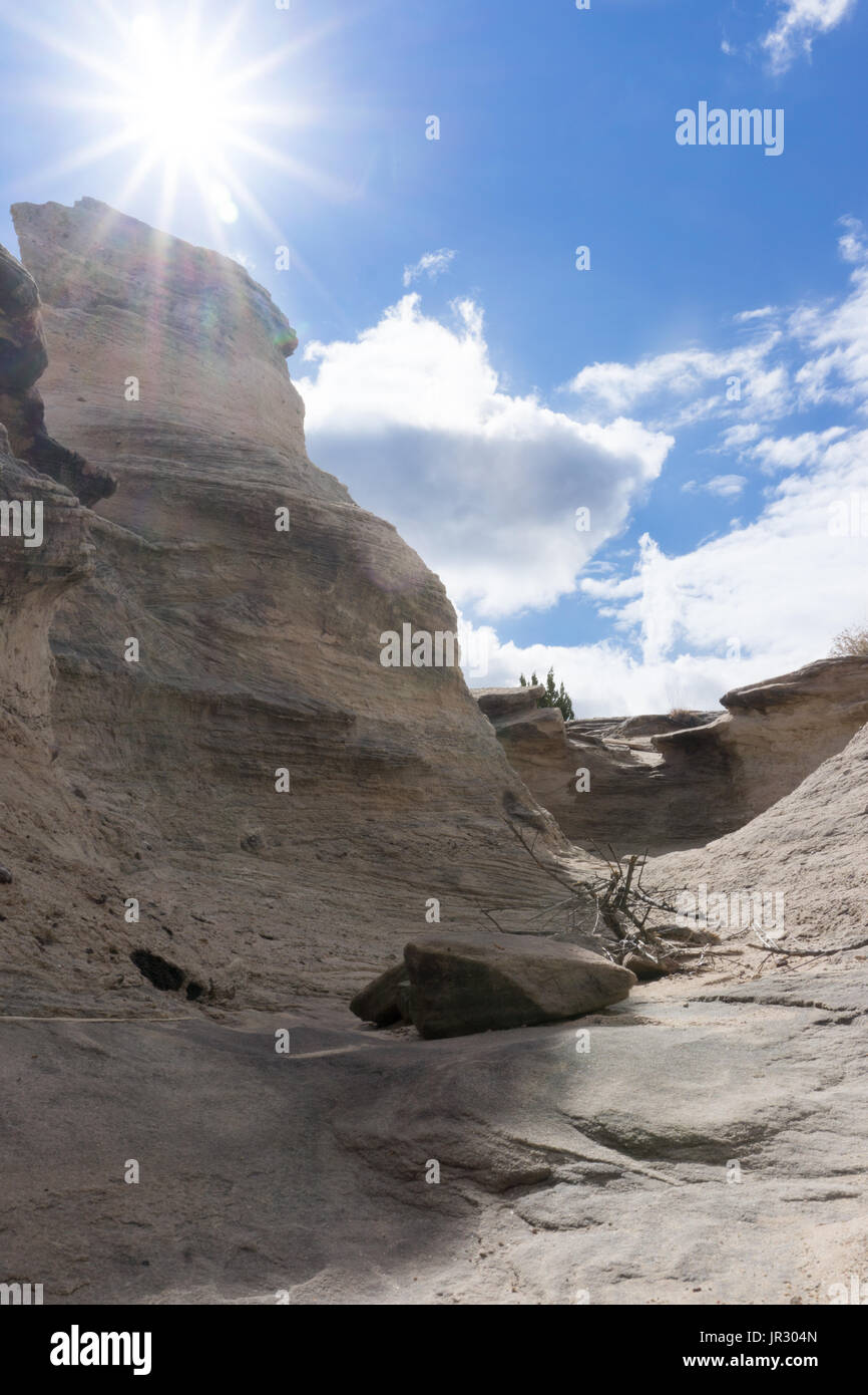 Sandstone gully forest hi-res stock photography and images - Alamy