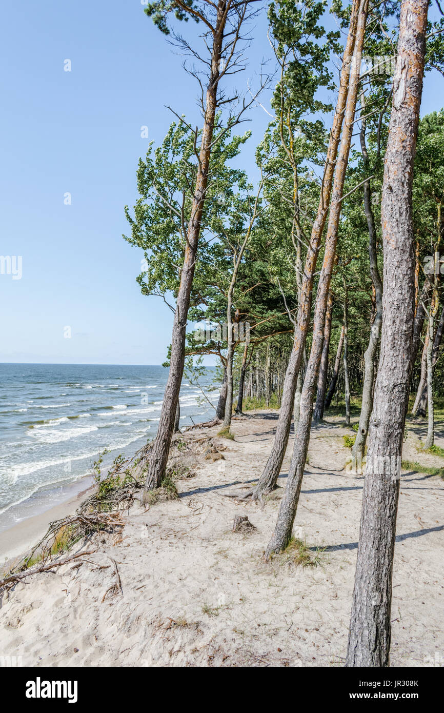 Summer vacation photoshoot hi-res stock photography and images - Alamy