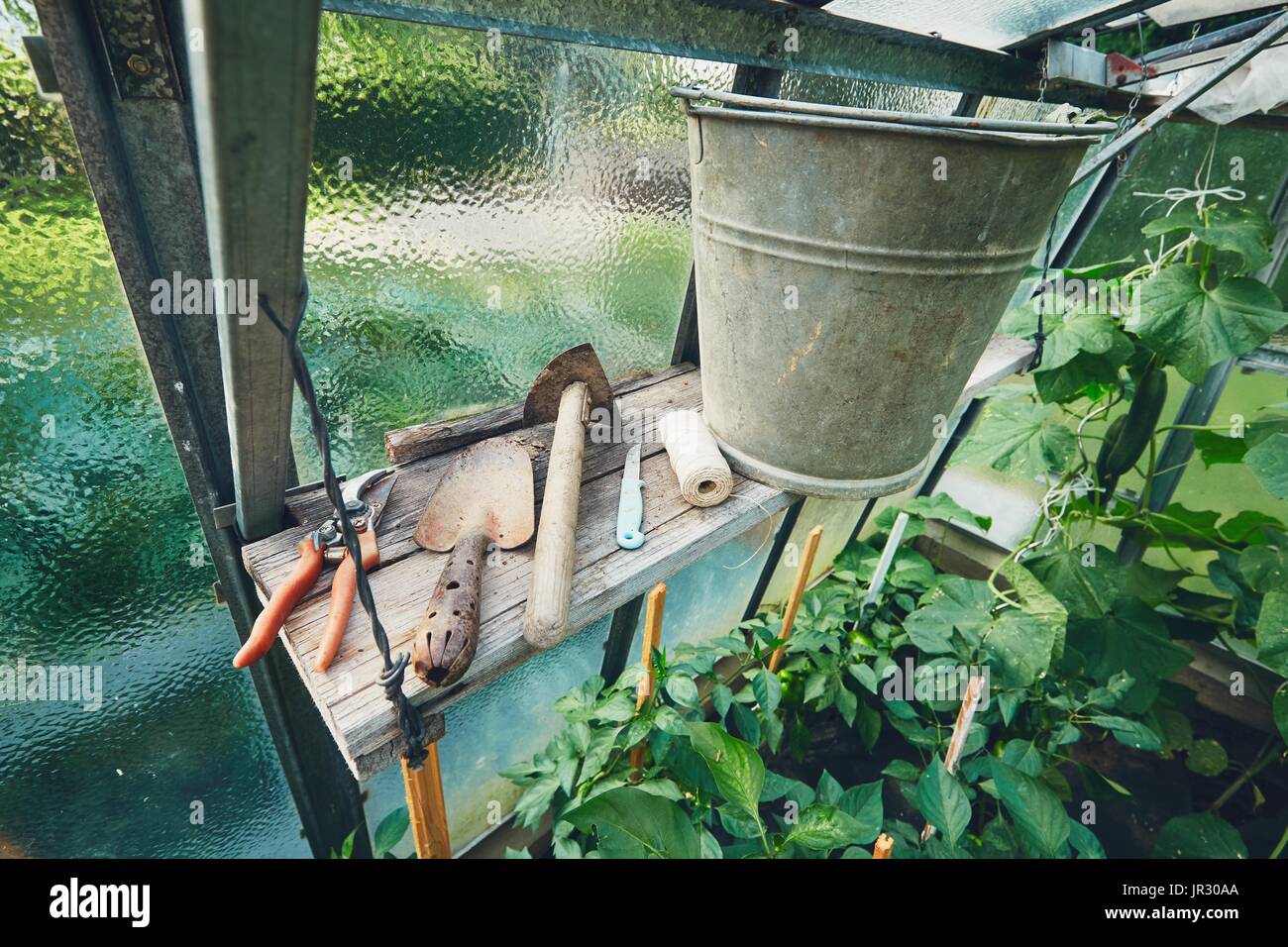 Gardening Hand Trowel, small hoe, metal bucket and other tools on the ...