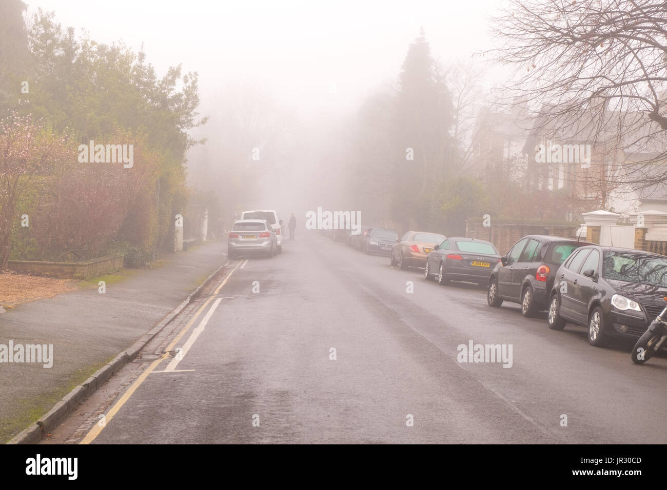 domestic street in fog Stock Photo - Alamy
