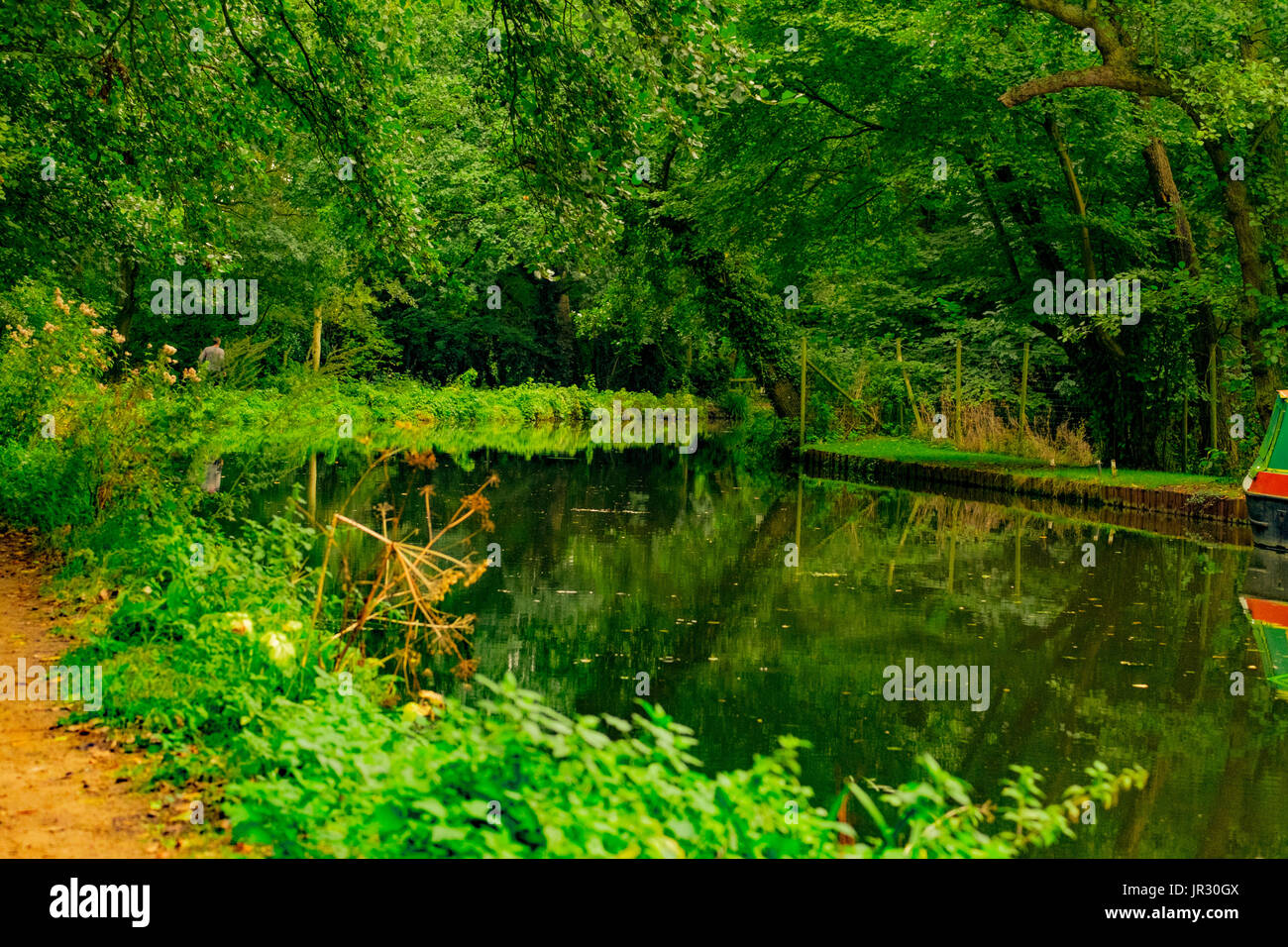 tow path river wey Stock Photo - Alamy