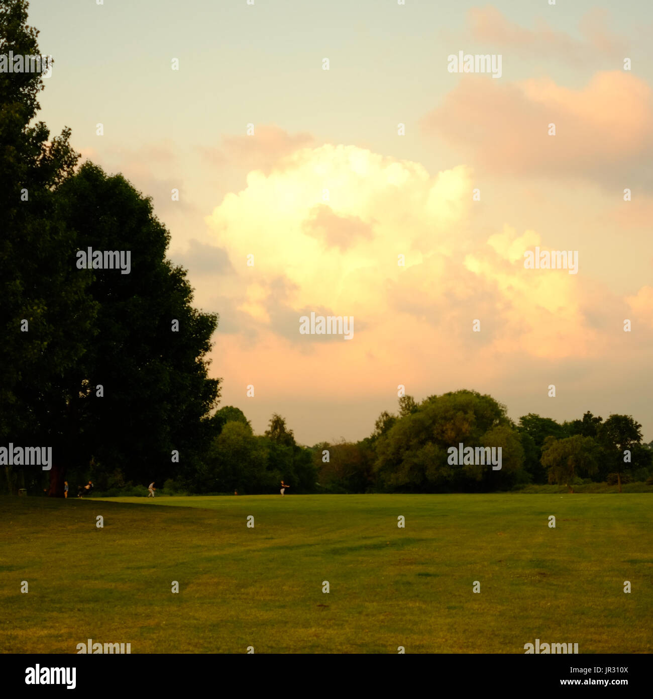 hurst park meadow Stock Photo - Alamy