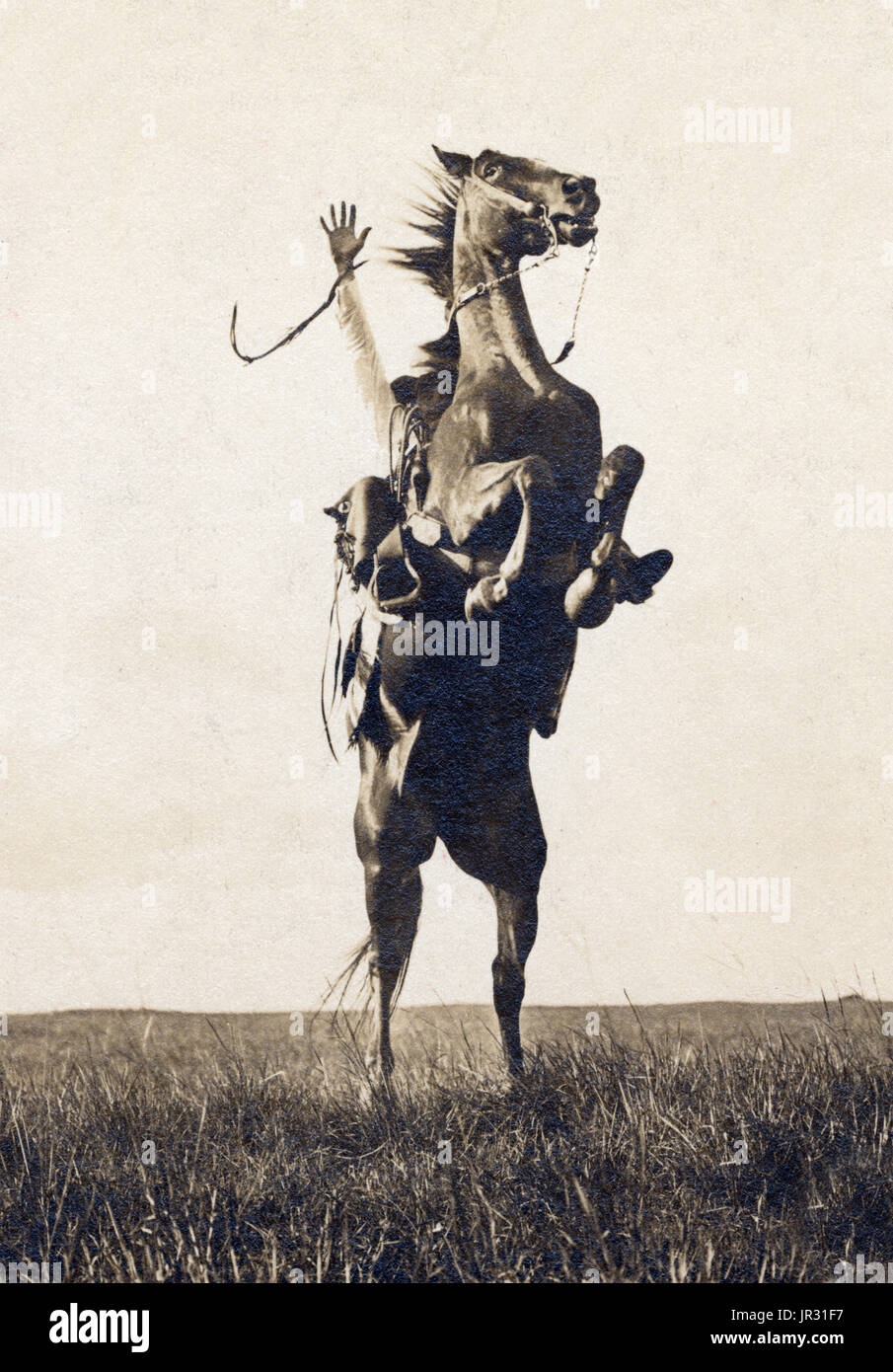 Bronco rising on its hind legs hi-res stock photography and images - Alamy