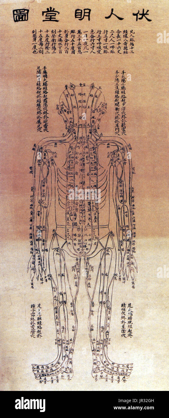 Acupuncture drawing hi-res stock photography and images - Alamy