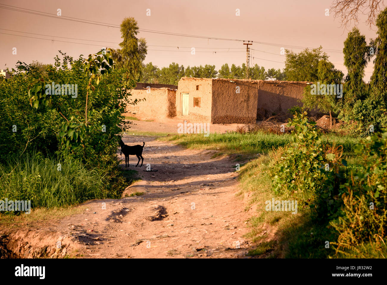 Landscape of a village in Pakistan Stock Photo - Alamy
