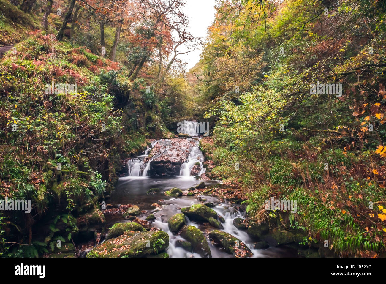 Devon waterfall hi-res stock photography and images - Alamy