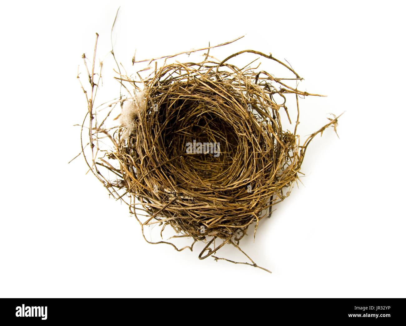 Natural Birds Nest on a White Background Stock Photo - Alamy