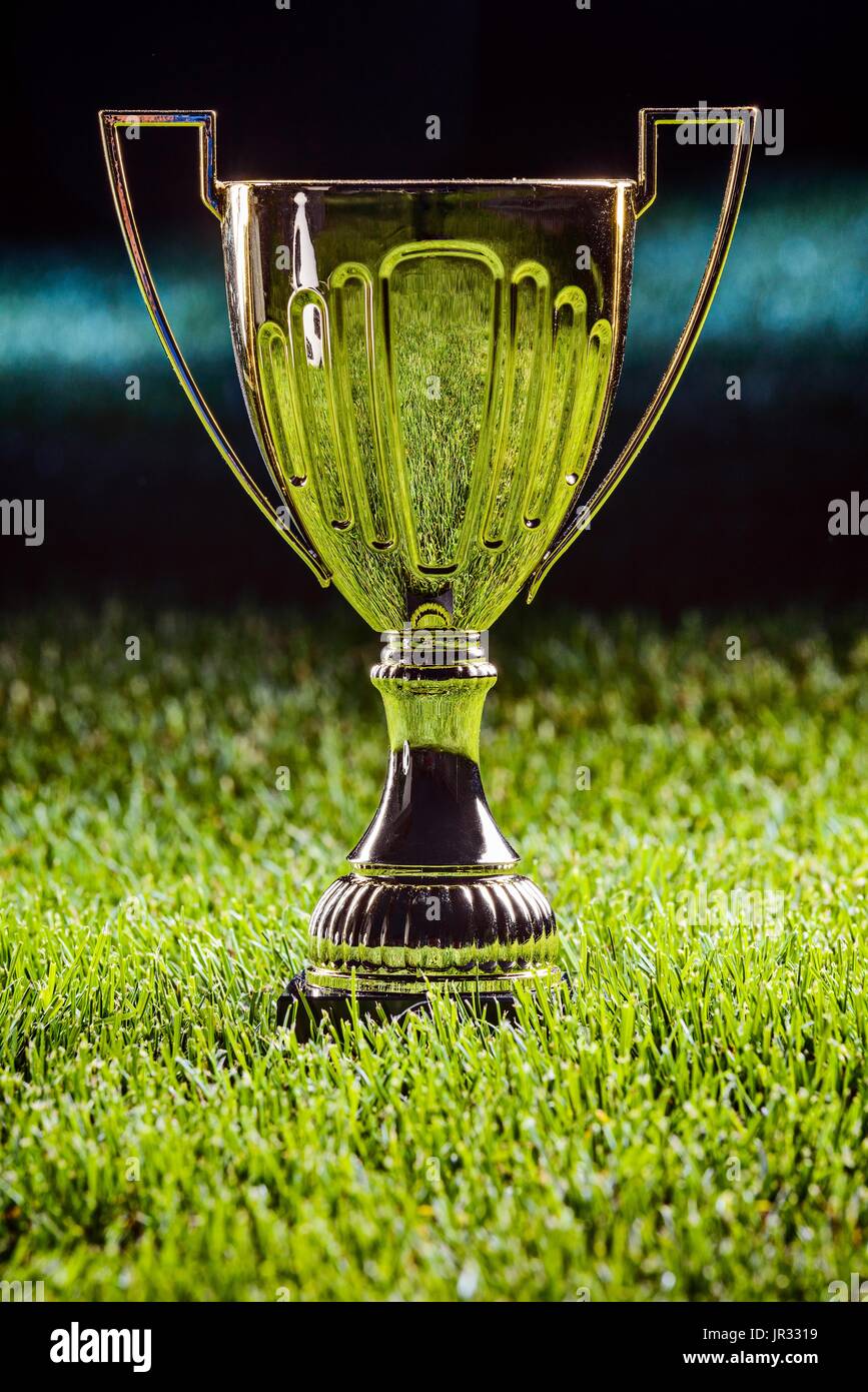Shiny metal cup - first prize for champion Stock Photo - Alamy