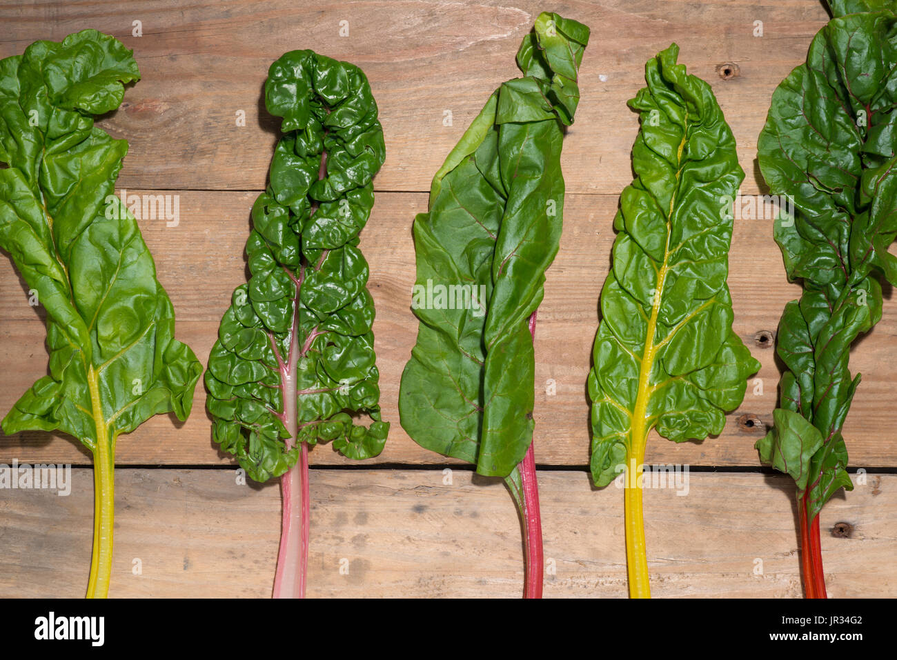 Swiss chard yellow leafy hi-res stock photography and images - Alamy