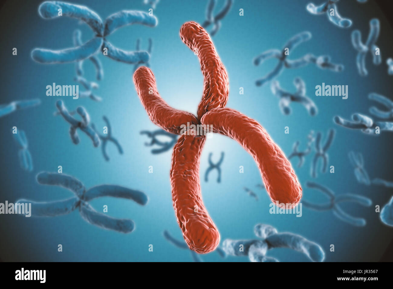 3d rendering red chromosome on blue background Stock Photo - Alamy
