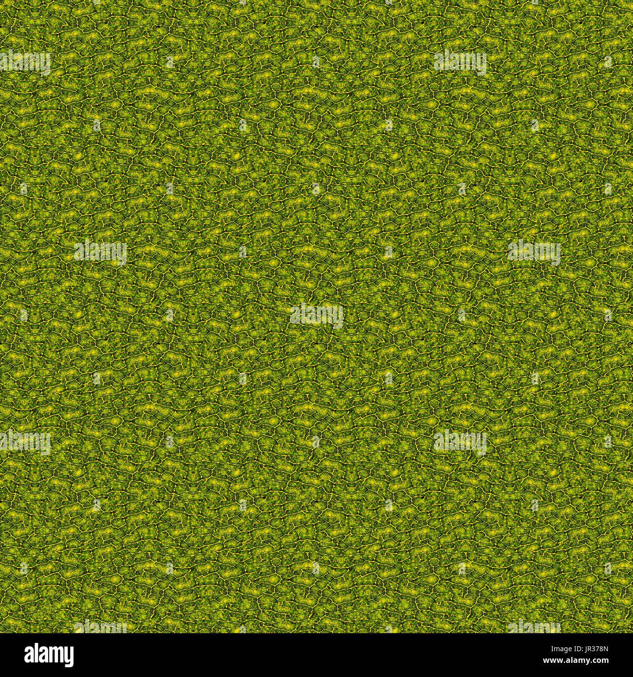 seamless pattern of green leaf with veins Stock Photo - Alamy