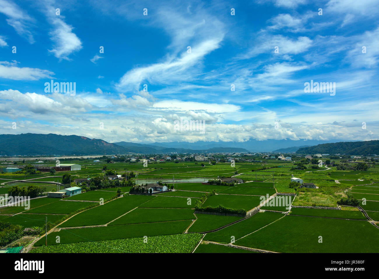 Rice field taiwan High Resolution Stock Photography and Images - Alamy