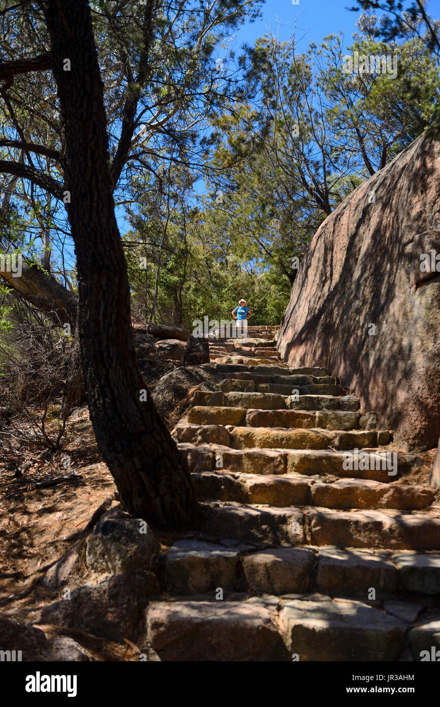 The climb to Wineglass Bay Lookout on Mount Amos in Freycinet National ...