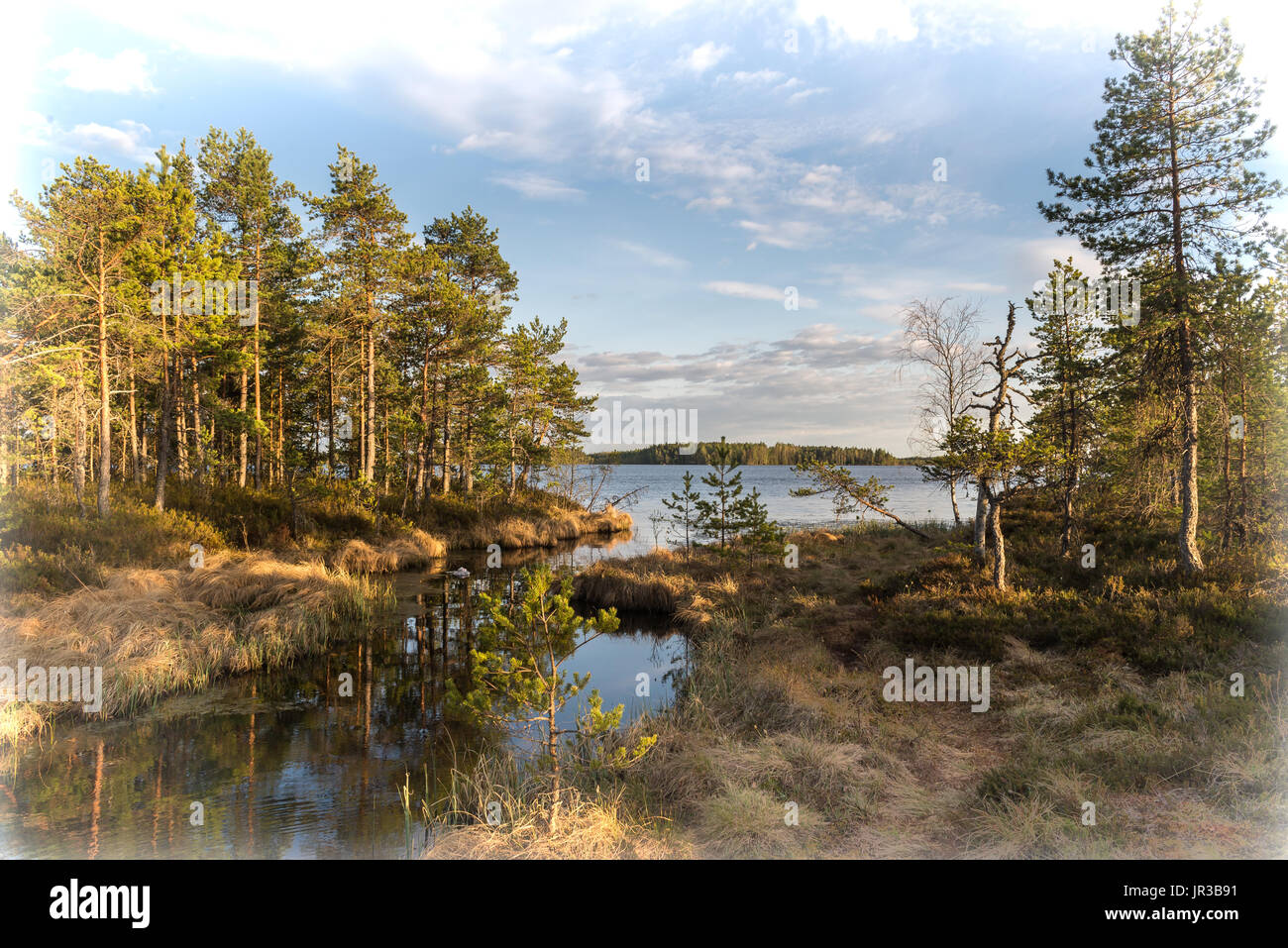 Misty morning on lake in Finland with beautiful colored trees in Autumn ...