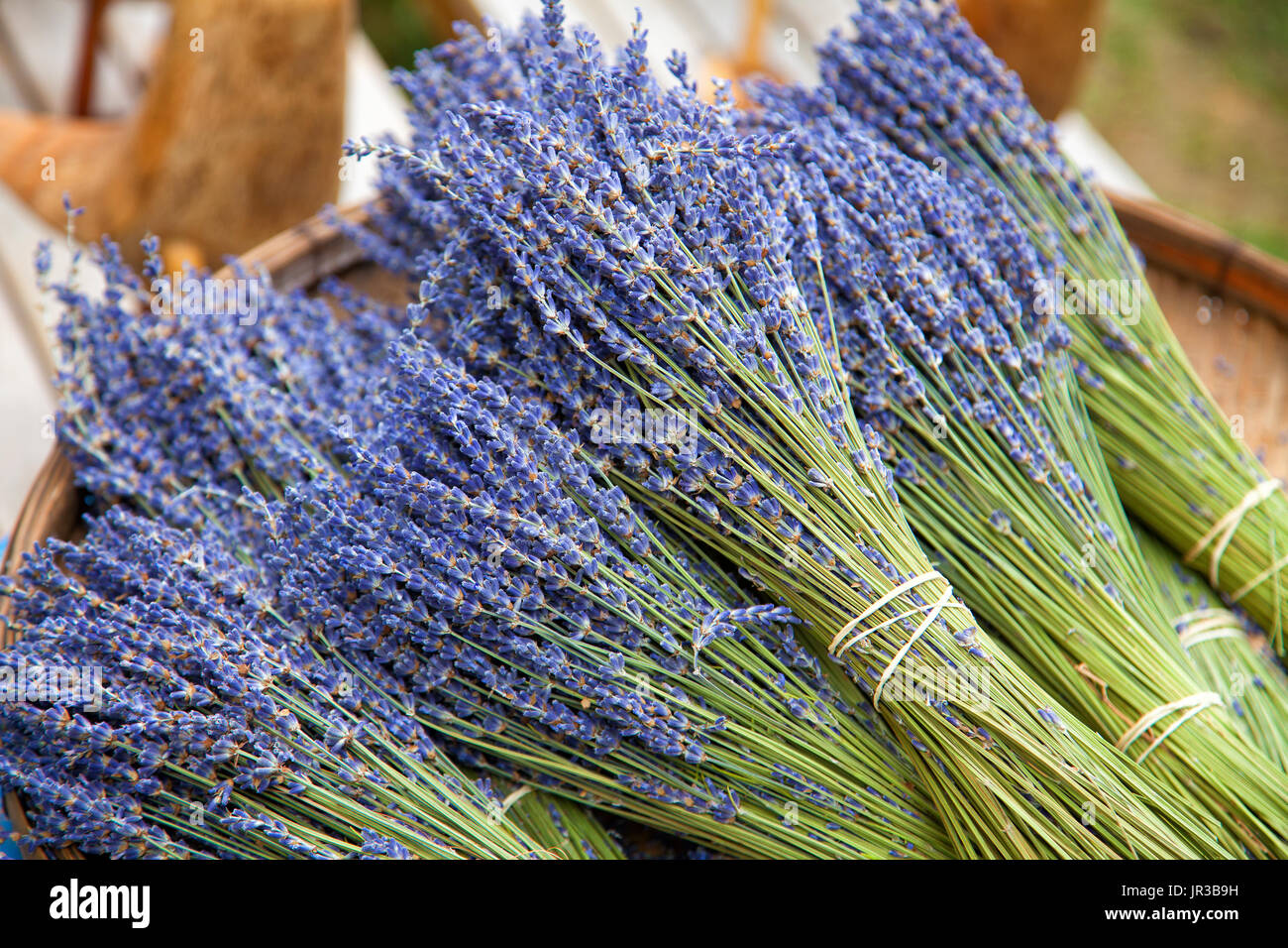 Bunches of fragrant herbs hi-res stock photography and images - Alamy
