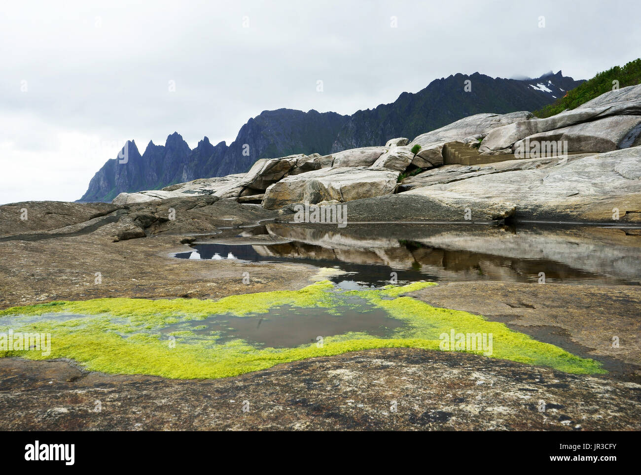 Devils teeth hi-res stock photography and images - Alamy
