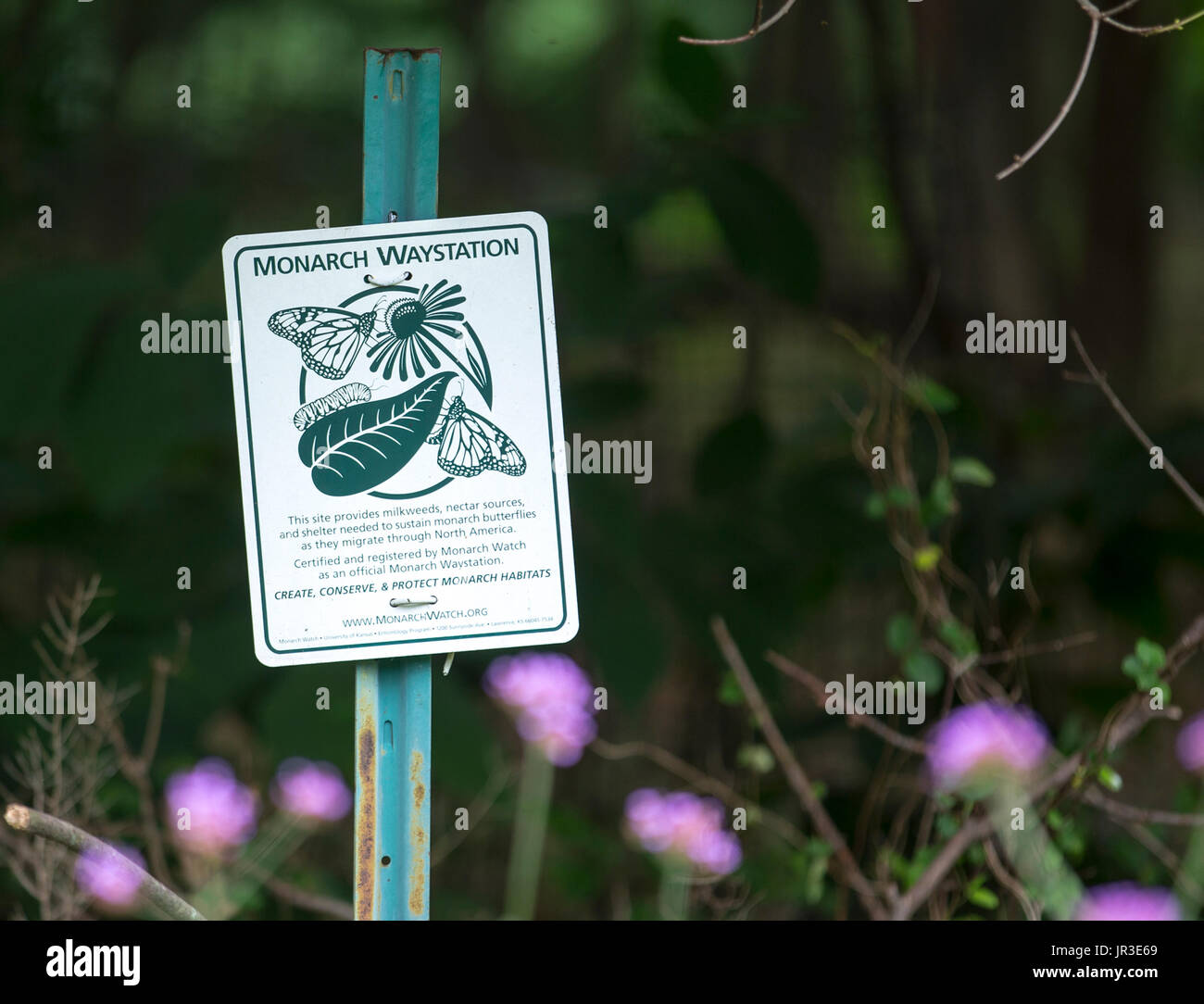 Butterfly garden sign hi-res stock photography and images - Alamy
