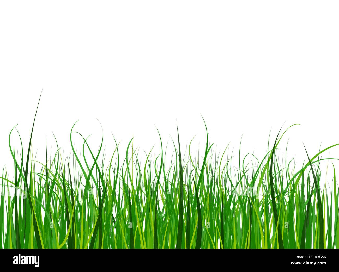 Juicy fresh green grass Stock Vector Images - Alamy