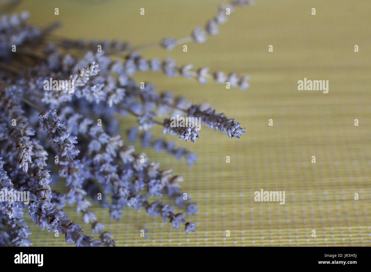 Spice bouquet hi-res stock photography and images - Alamy