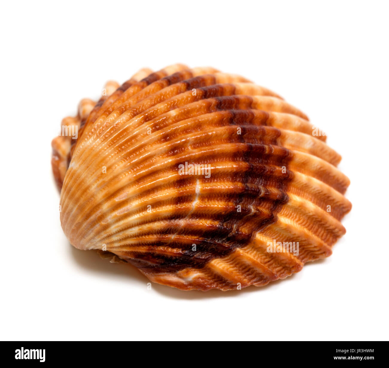 Oceanic view Cut Out Stock Images & Pictures - Alamy
