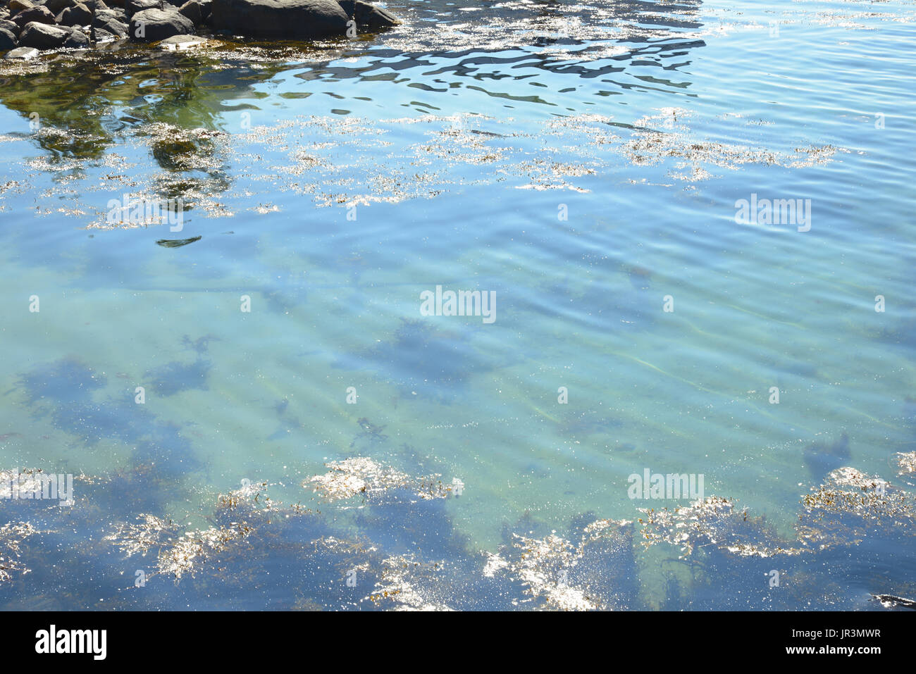 Lofoten clear water hi-res stock photography and images - Alamy