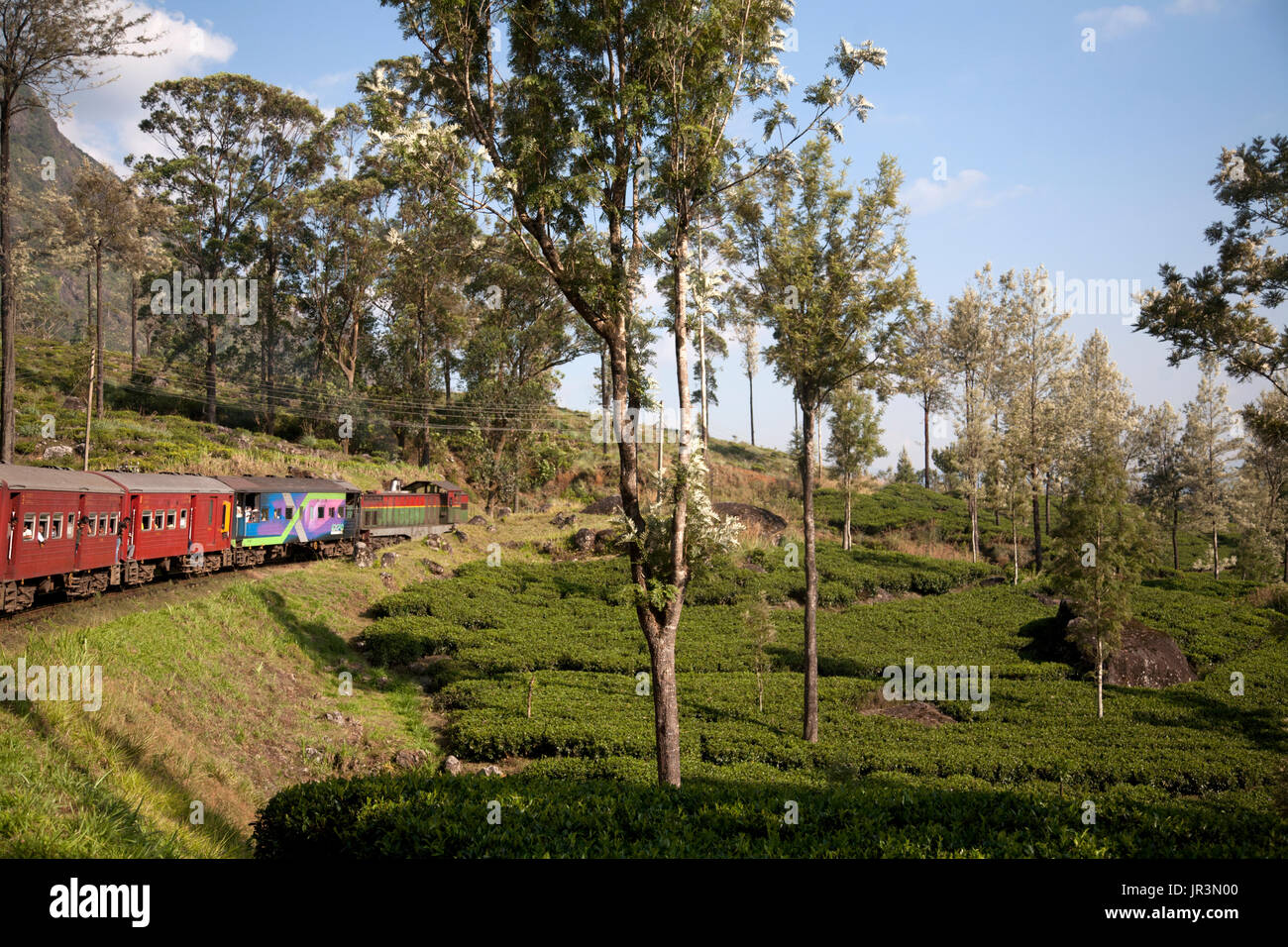 Sri lanka tea plantation train hi-res stock photography and images - Alamy