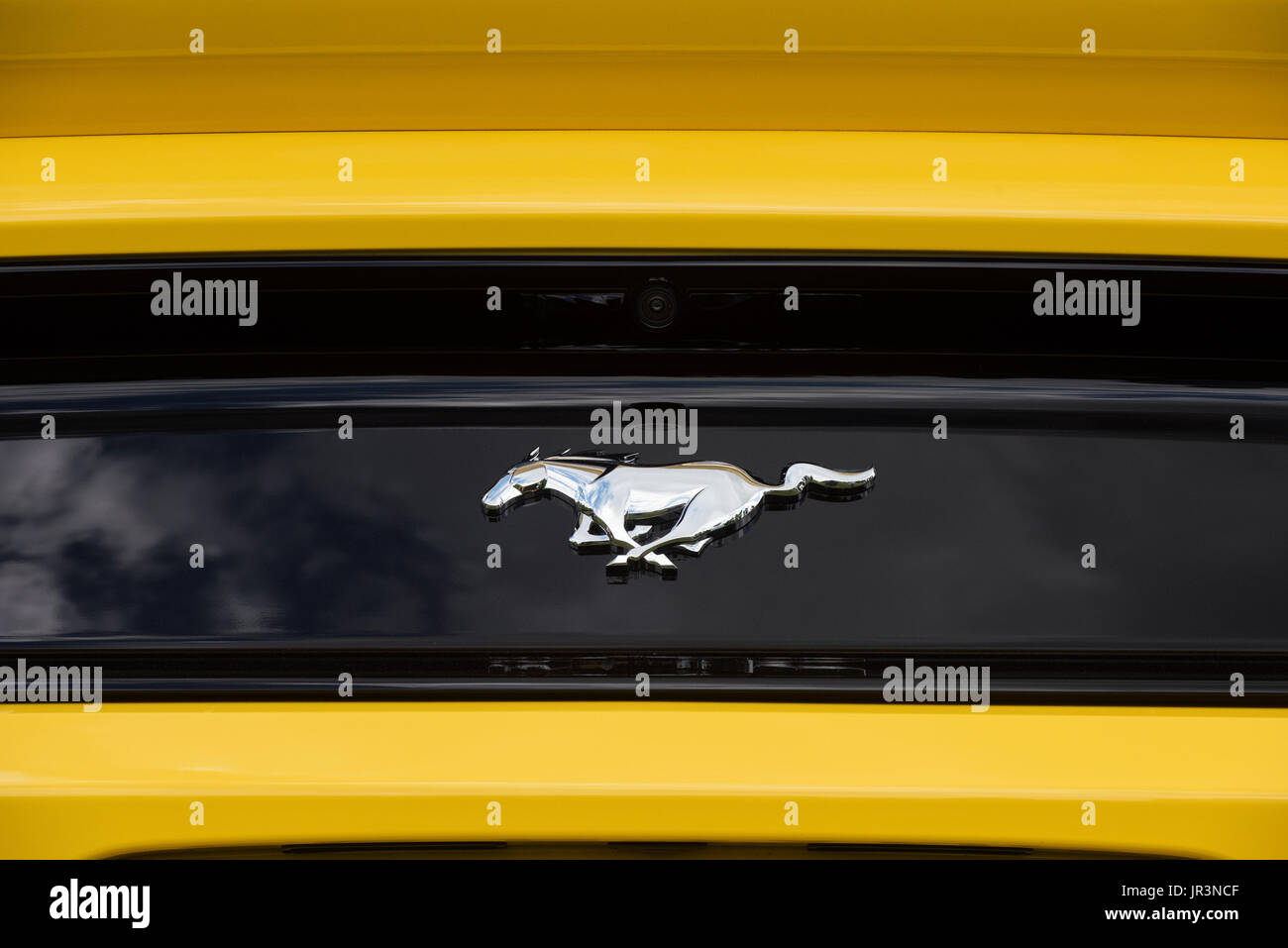 Mustang badge hi-res stock photography and images - Alamy