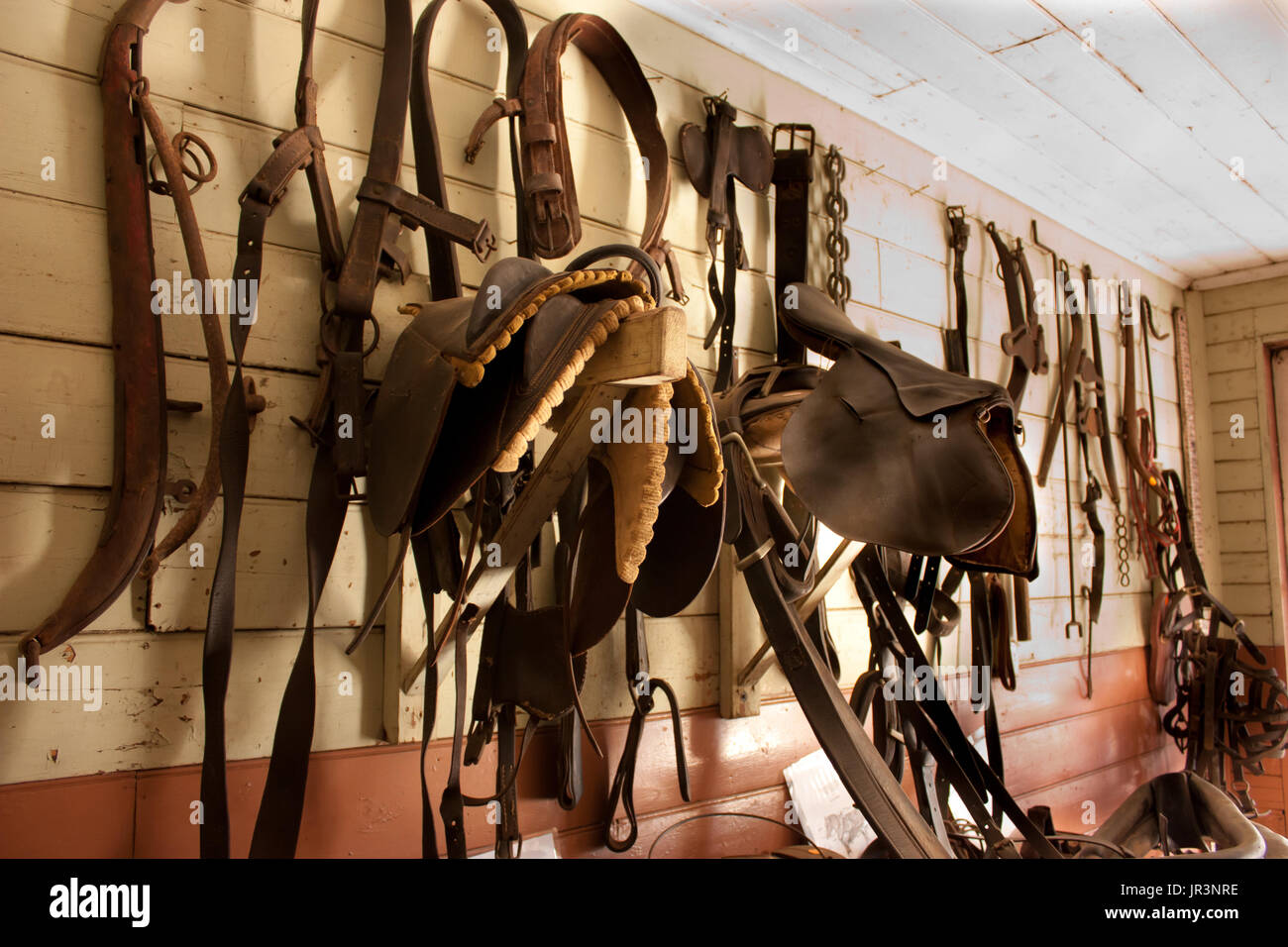 Equestrian saddlery with harness, saddles and bridles hanging from wall ...