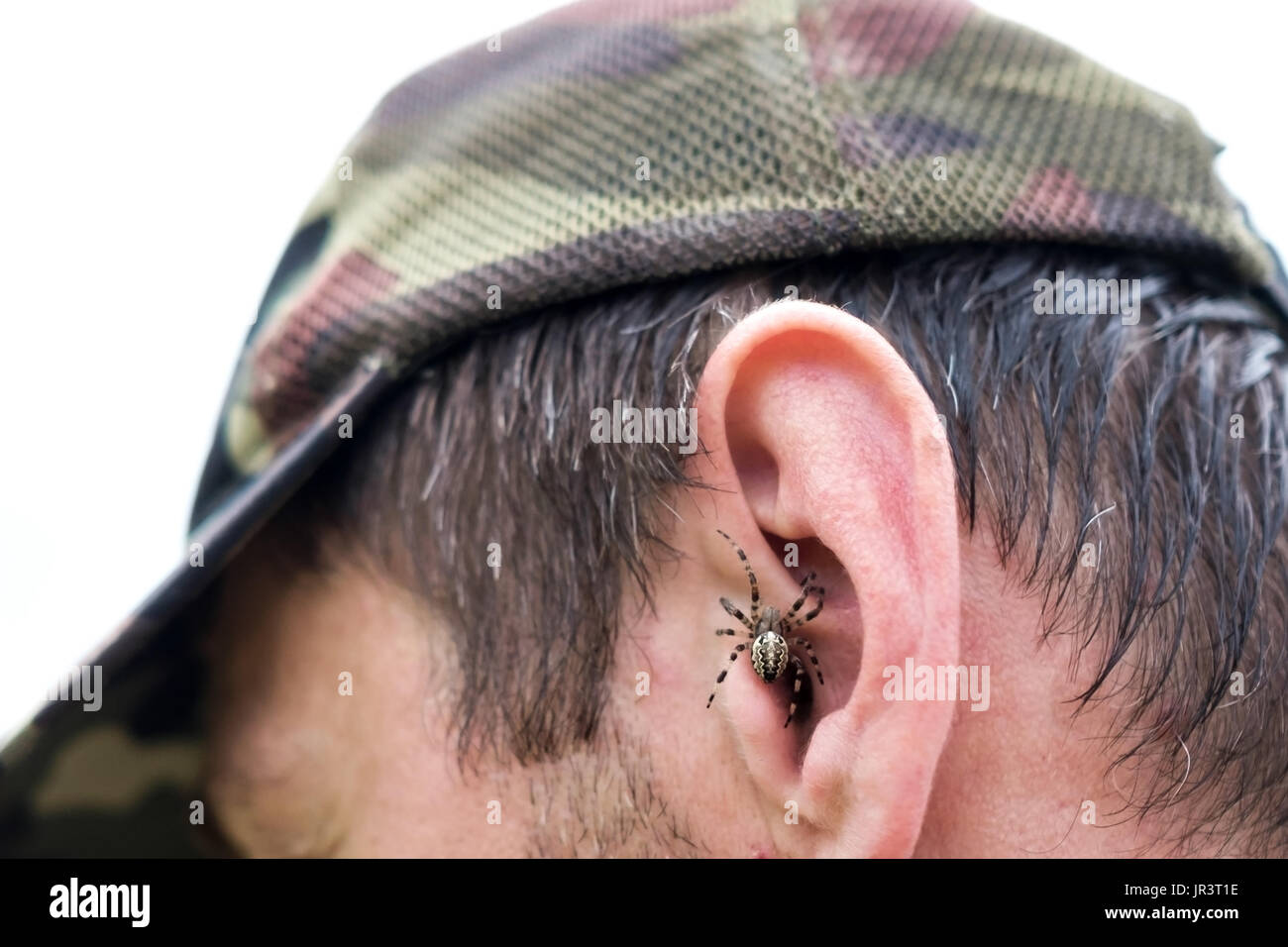 Spider sits on man face Stock Photo - Alamy