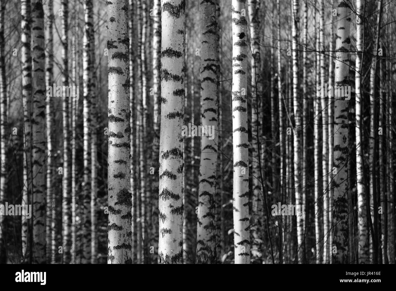 Space photo Black and White Stock Photos & Images - Alamy