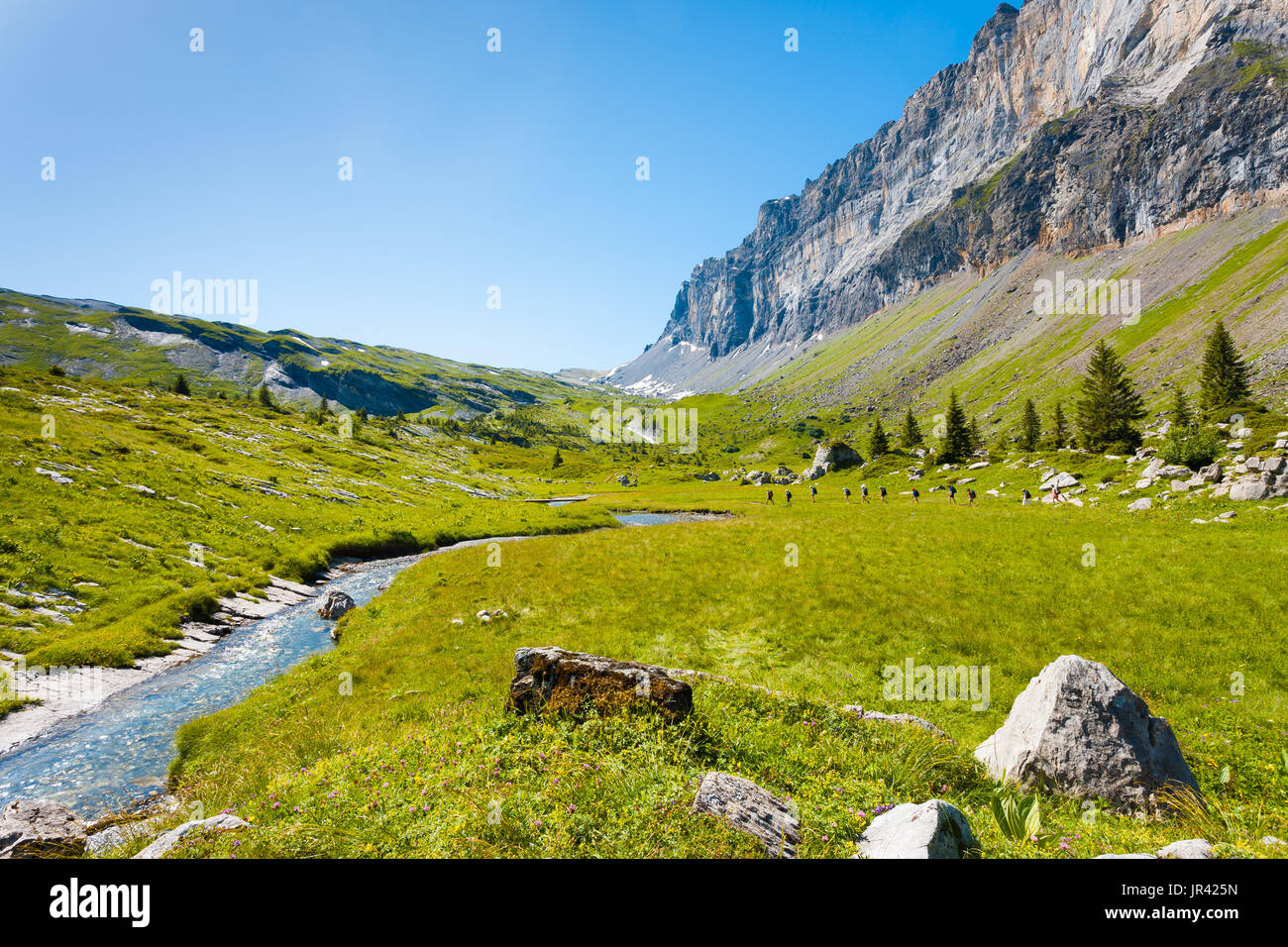 Beautiful green grass valley at high elevation at Sixt Fer A Cheval ...