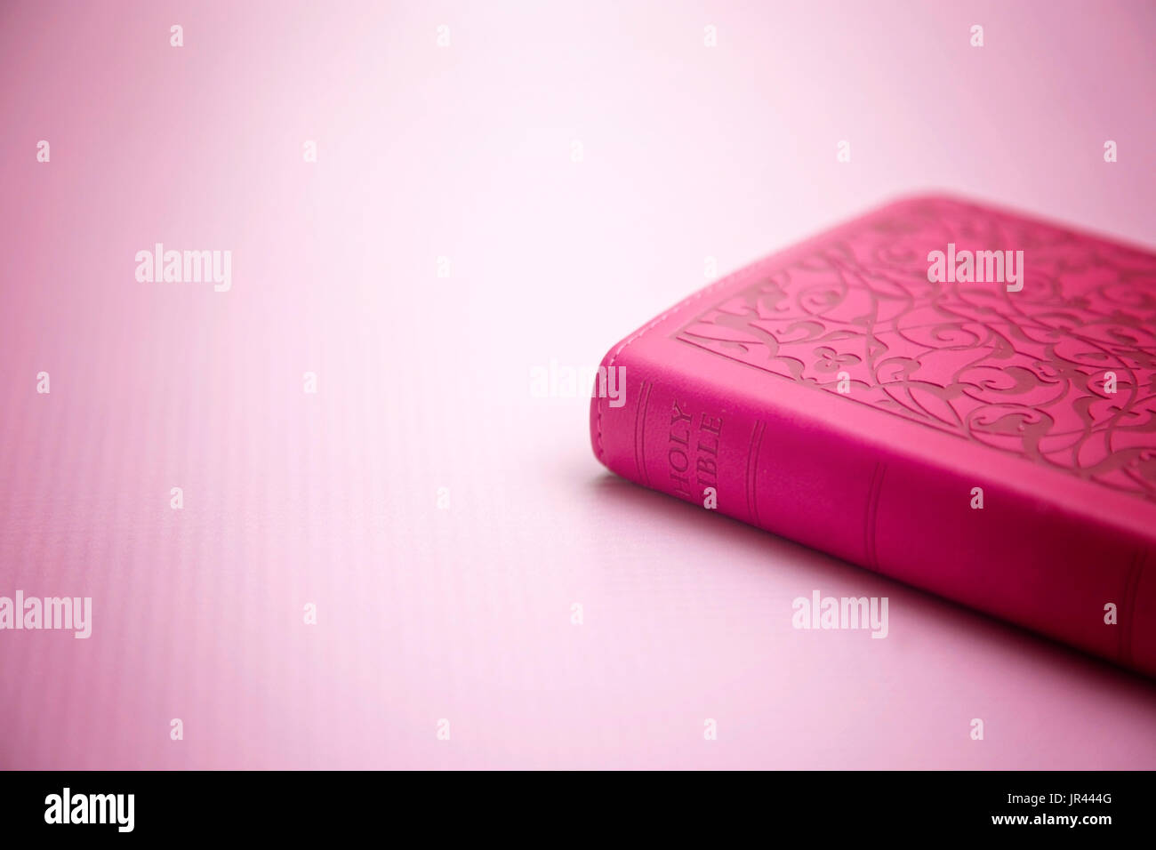 Studying the word of god hi-res stock photography and images - Alamy