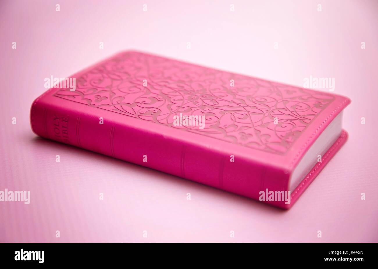 A Pink Bible on a Pink Background - Women Studying the Word Stock Photo ...