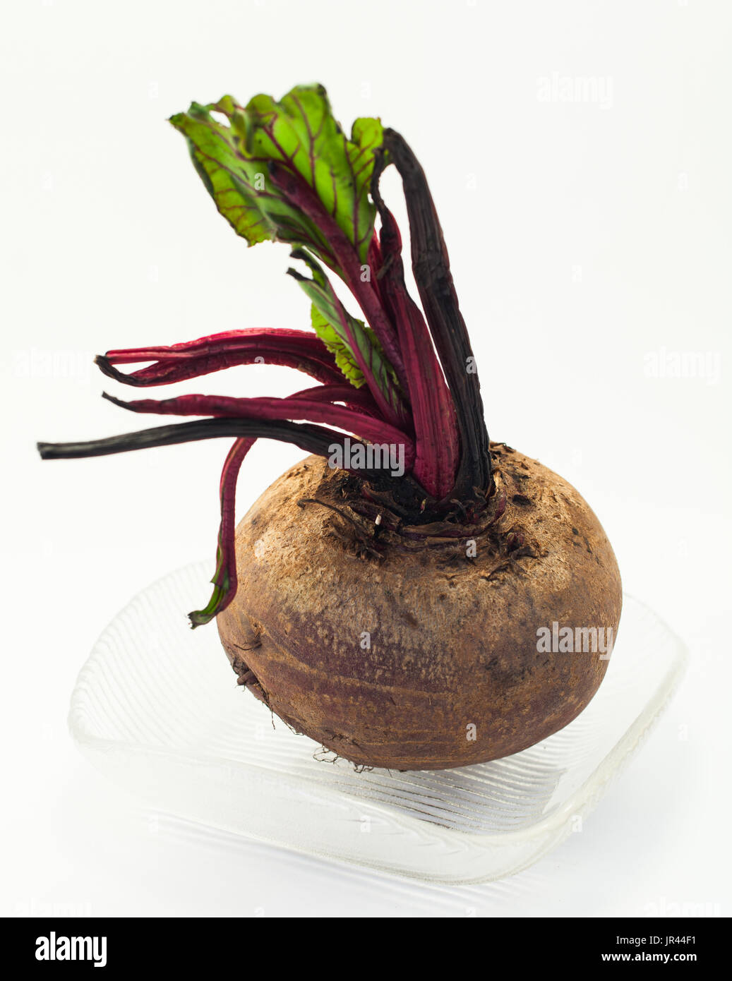 Beetroot on white background Stock Photo - Alamy